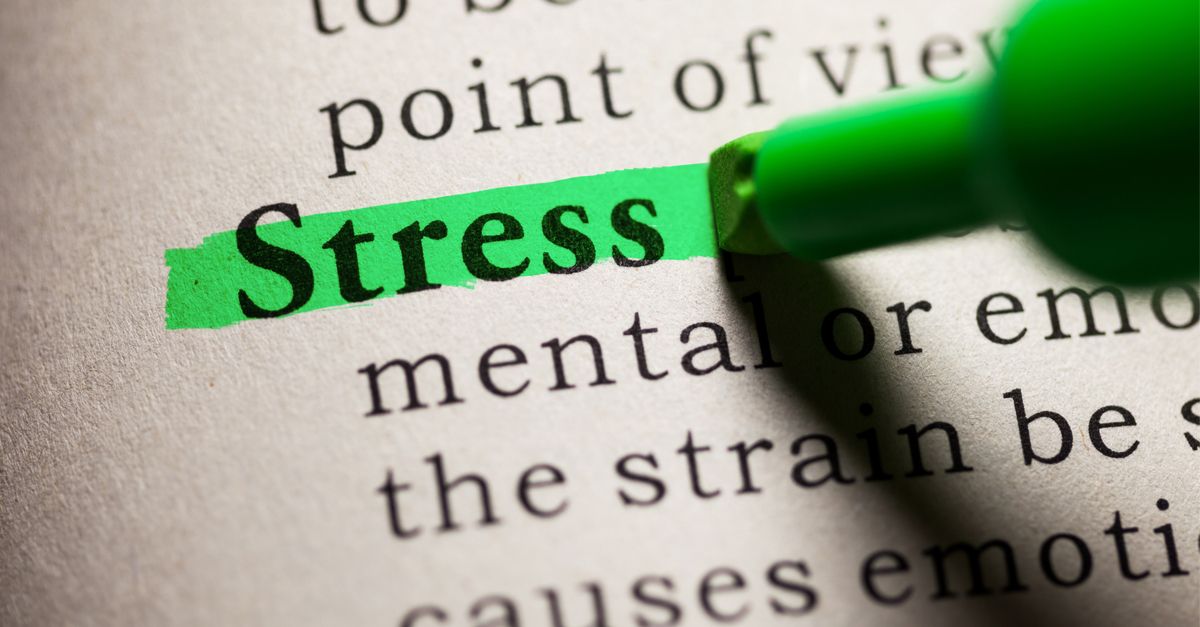 Privilege and pressure: international students in Germany during Covid-19